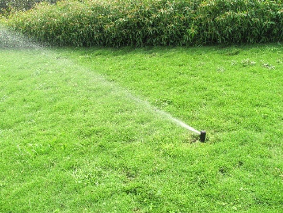 UMN’s Green Campus: Leading Water Conservation Through Innovation ...